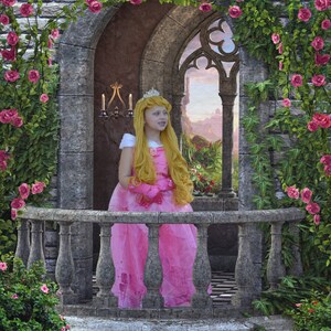 Flintstones Digital Backdrop Stone Age Backdrop Digital | Etsy