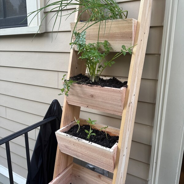 Personalized Scripture Jar, Read Me Jar, Color Coded Bible Verses ...