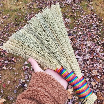 Rainbow Turkey Wing Broom - Etsy