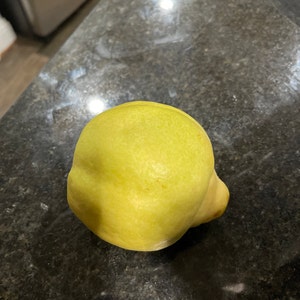 2-2.5lbs FRESH BURDOCK Rootgobo Root Bardana Free Shipping - Etsy