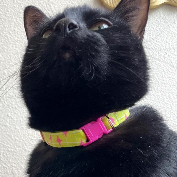 Fish Cat Collar With Bell and Charm, Cute Boy Cat Breakaway Collar ...