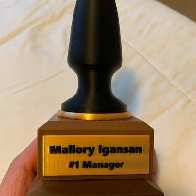 Everything Everywhere All at Once Trophy Auditor of the Month ...