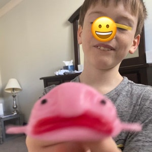 Painted Silicone Blobfish Stress Ball Squishy Toy - Etsy