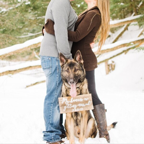 My Humans Are Getting Married Sign, Dog Save the Date, Pet Save the ...