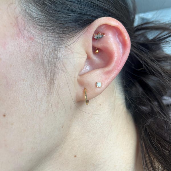 16G Abalone Shell Moth Septum Ring/hinged Segment Septum Clicker/daith ...