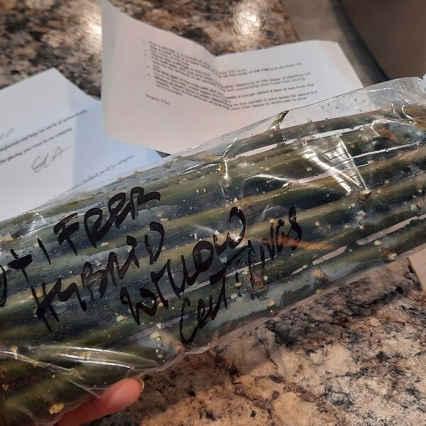 Casey Jones | American Folk Heroes Series | Limited Edition Plate No ...