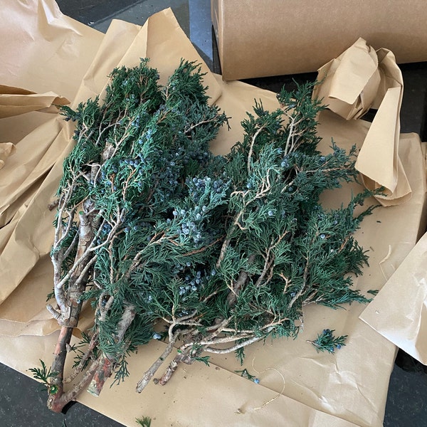 Fragrant Preserved Juniper Greenery: Winter Wreath Supplies - Etsy