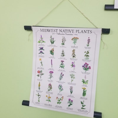 Wildflower Poster, Pollinator Plants Poster, Vintage Wildflower Print ...