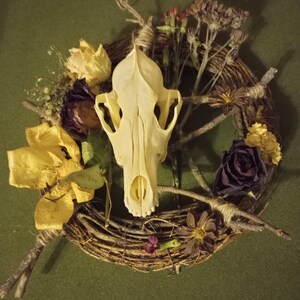 20 Real Rattlesnake Vertebrae Vertebrea Bone Gothic Voodoo | Etsy