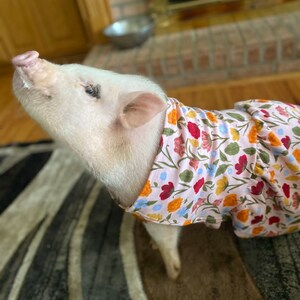 Summer Sun Strap Dress, Mini Pig Clothes to Prevent Sunburn on Skin ...
