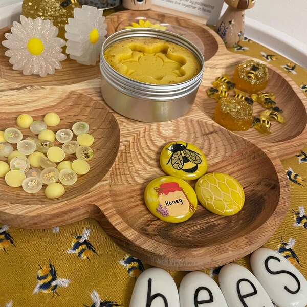 Minibeasts - Story Stones - Educational Stones - Eyfs Resources - Early ...