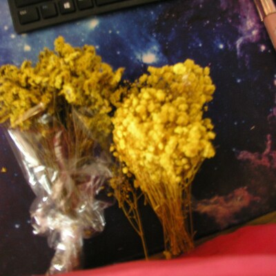 Small Preserved Flower Bouquet in a Vase Arrangement Gift Mothers Day ...