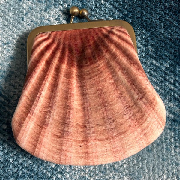 Seashell Coin Purse, Velvet Scallop Pouch - Etsy