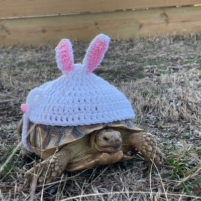 Tortoise Sweaters-target Pattern Turtle Costume Pet Costume - Etsy