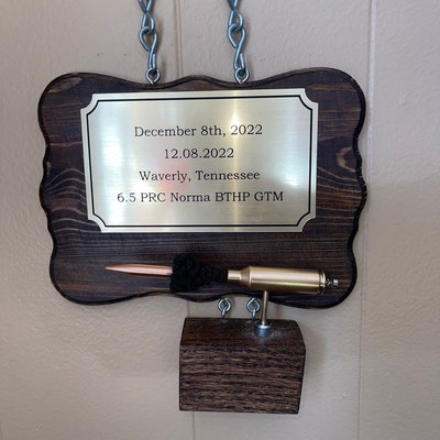 22 CB Cap 22 Conical Ball Acorn 6mm Flobert - Etsy