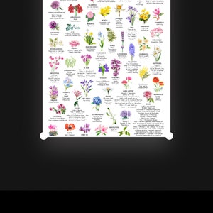 Flower Meaning Reference Chart, PRINTABLE / INSTANT DOWNLOAD Pdf, 'at-a ...