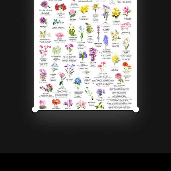 Flower Meaning Reference Chart, PRINTABLE / INSTANT DOWNLOAD Pdf, 'at-a ...