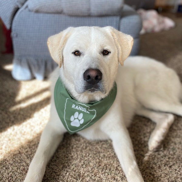 Bark Ranger Dog Bandana - Etsy