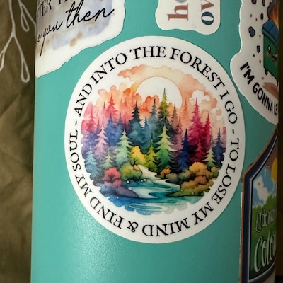 Find Your Own Path Sticker, Boho Sunset Sticker, Beetle Lover Decal ...