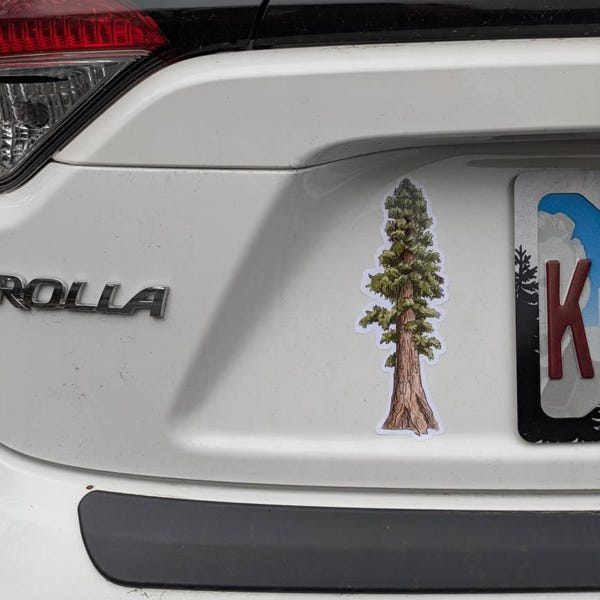 Extra Large Redwood Tree Sticker - Vinyl Waterproof Redwood Forest ...