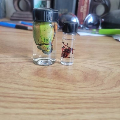 Wet Specimens REAL Mixed Lot of Assorted Specimens in Vials Collection ...