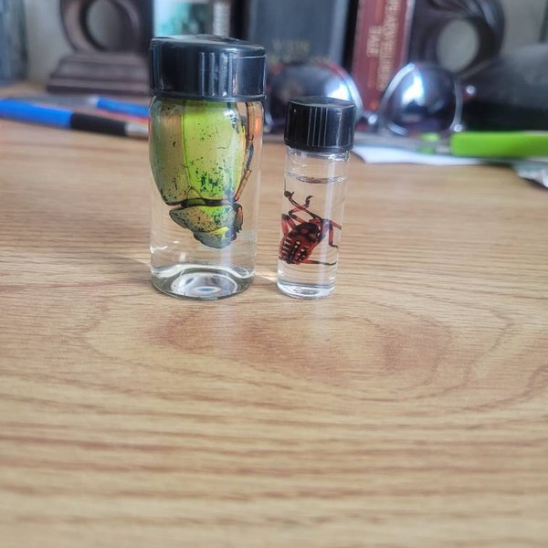 Wet Specimens REAL Mixed Lot of Assorted Specimens in Vials Collection ...