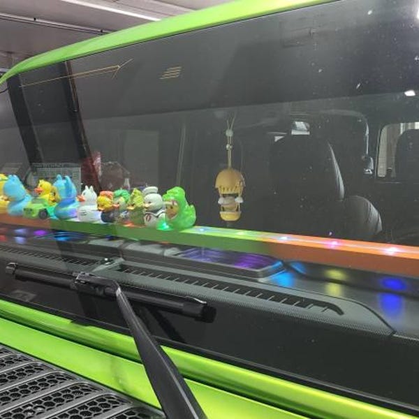 Duckwood Dual LED Duck Display Bar: 210 Color Options - Etsy