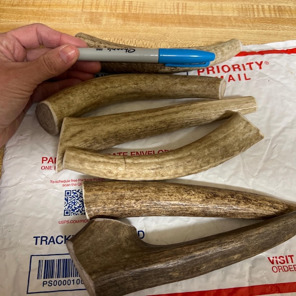 NEW Natural Shed Real Deer Antler Knobs / Pulls Cabinet Dresser Hardware 1 EA oregon Antler ...