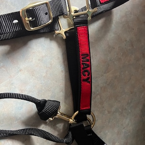 Personalized Nylon Sheep Halter - Etsy
