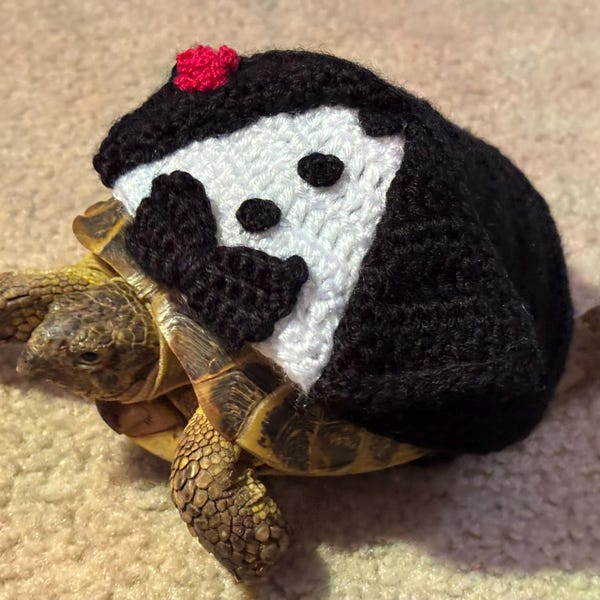 Crochet Tortoise Tuxedo: Handmade Reptile Costume With Rose - Etsy