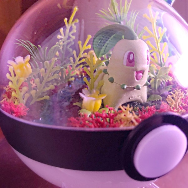 Oriental Forest Pokemon Terrarium - Etsy UK