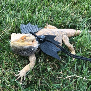 Leather Lizard HarnessStark Black Dragon with Wings | Etsy