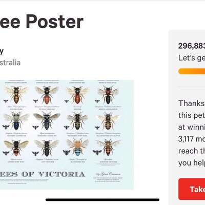 Native Bees of Queensland Poster third Edition - Etsy Australia