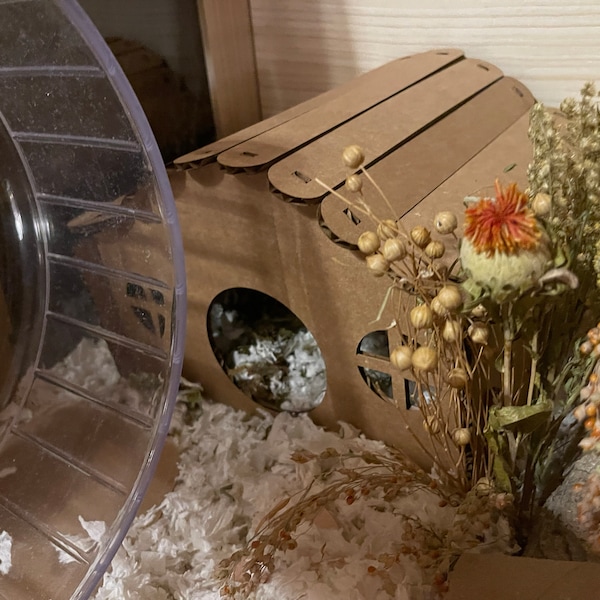 Cardboard Hobbit Style Hidey - Etsy