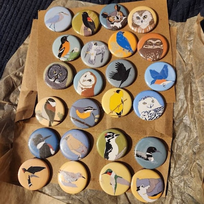 Bird Note Cards Mix Match 8 Choose From 36 Designs Printed on Recycled ...