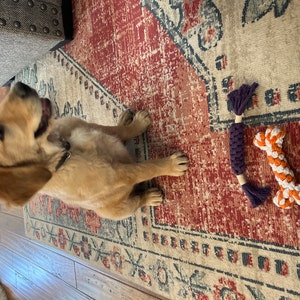 Black Spider Dog Rope Toy, Handmade Sustainable Dog Rope Toys, Toys for ...