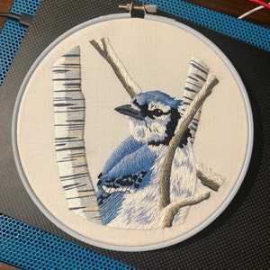 Blue Jay Embroidery Kit, Complete Kit, Detailed Instructions, DMC Floss ...