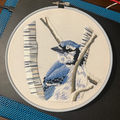 Blue Jay Embroidery Kit, Complete Kit, Detailed Instructions, DMC Floss ...