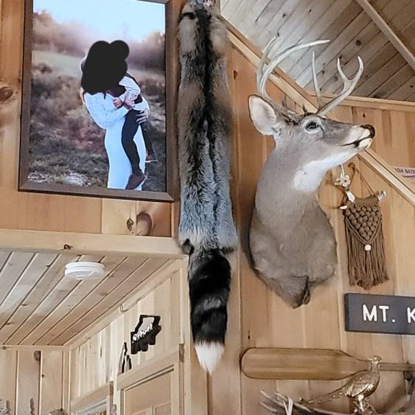 Tanuki Skull - Etsy Australia