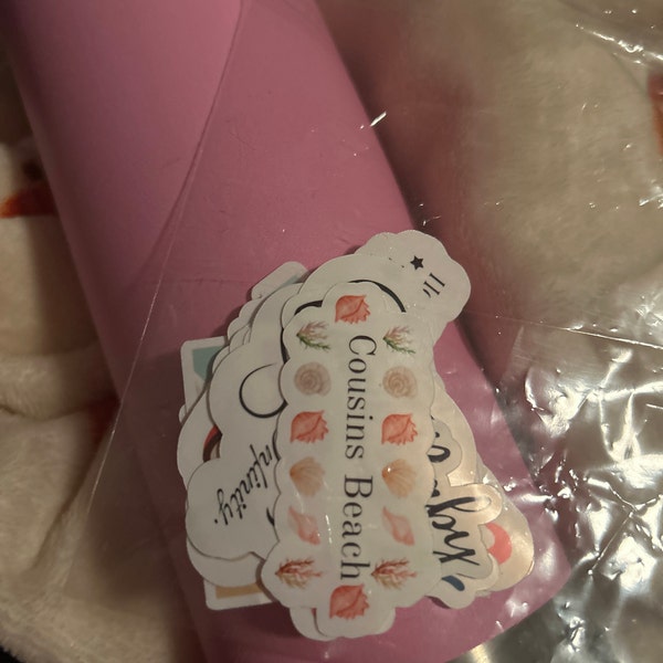 The Summer I Turned Pretty Stickers TSITP - Etsy