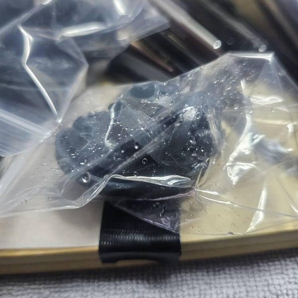 Alpha Carnadon by Clay Beast Creations | Tabletop RPG Miniature Figures ...