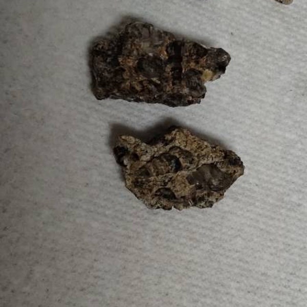 Banded Ironstone MAGNETIC Genesis Stone T27 Wyoming BIF Iron Hematite ...