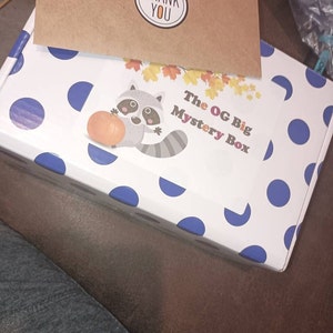 Valentines Day Mystery Box Gift Box for Kids Kids Mystery Box Surprise ...