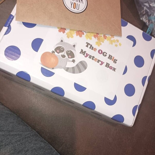 Easter Mystery Box for Kids Kids Mystery Box EASTER Basket Stuffers ...