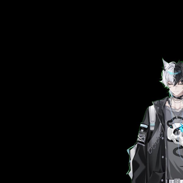 Prototype/premade Vtuber Model/fully Rigged 12+exp - Etsy