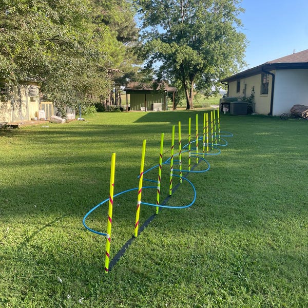 Dog Agility Weave Pole Training Guide Wires * FREE SHIPPING - Etsy