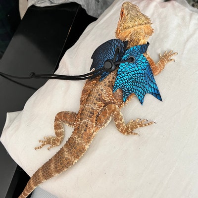 Leather Lizard Harnesswater Dragon With Wings - Etsy