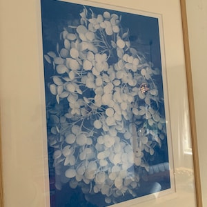 Weirdos 4 Monochrome Risograph Postcards by Mr & Mrs Rio - Etsy