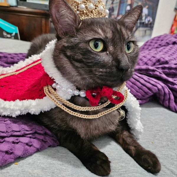 Royal Prince Nobility Clothes for Cats, Prince Crown for Cats, Handmade ...