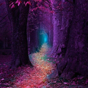 Attract New Friendships Sigil, Best Friend Sigil, BFF Manifestation ...